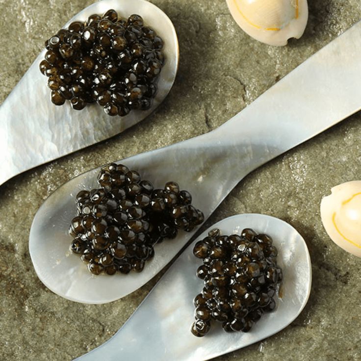 The "Caviar Diet" - Everything You Need to Know About This Extraordina ...