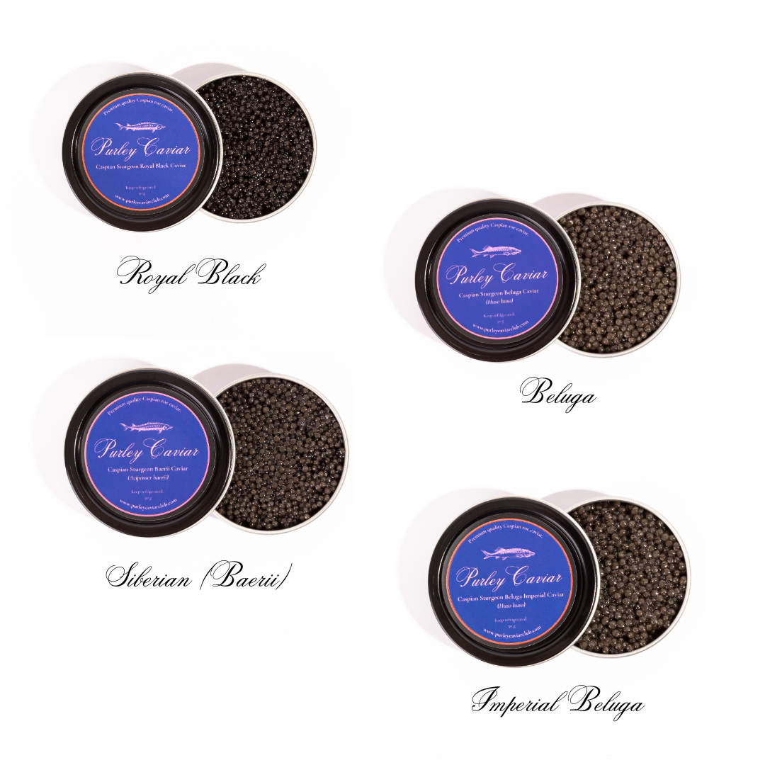 Caspian Sea Beluga Caviar by Purley Caviar